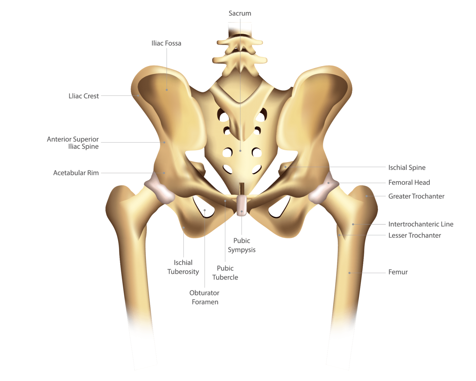Hip Pain After Car Accidents: Causes, Signs, and What to Do