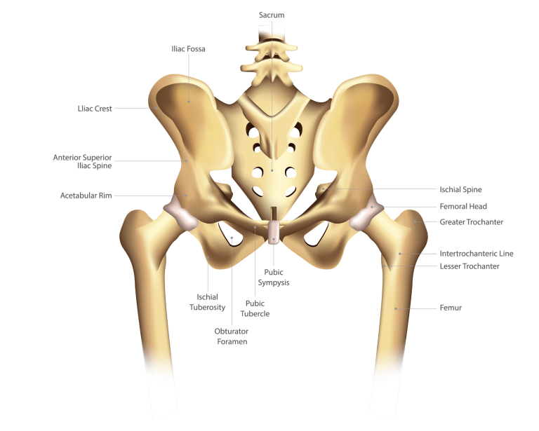 Hip Pain After Car Accidents: Causes, Signs, and What to Do